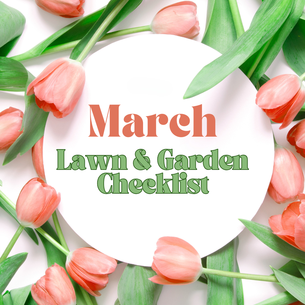 March is Here! Time to Get Ready for Spring! – Ship My Plants