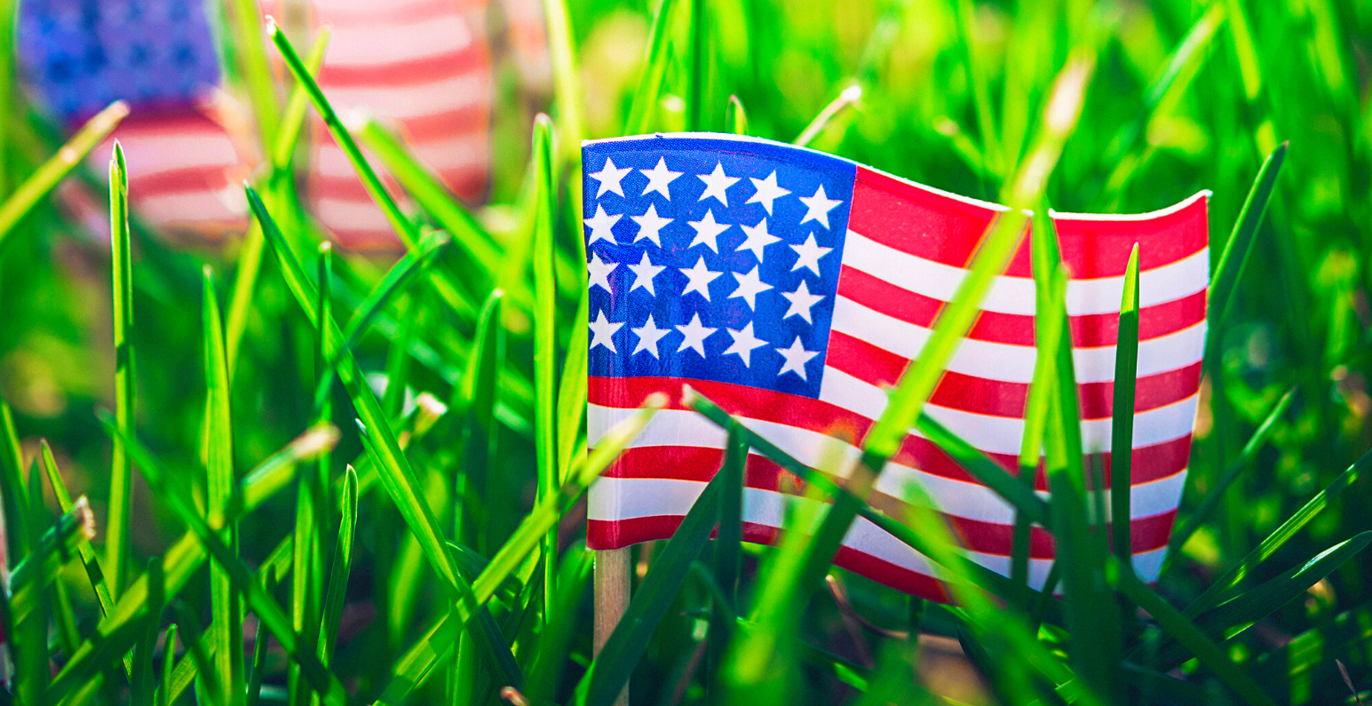 Celebrate Memorial Day with Blooming Beauty and Nature's Remembrance ...